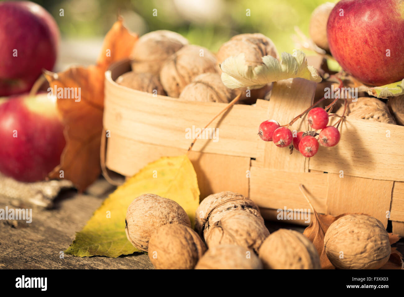 Fruits and vegetables in autumn Stock Photo - Alamy