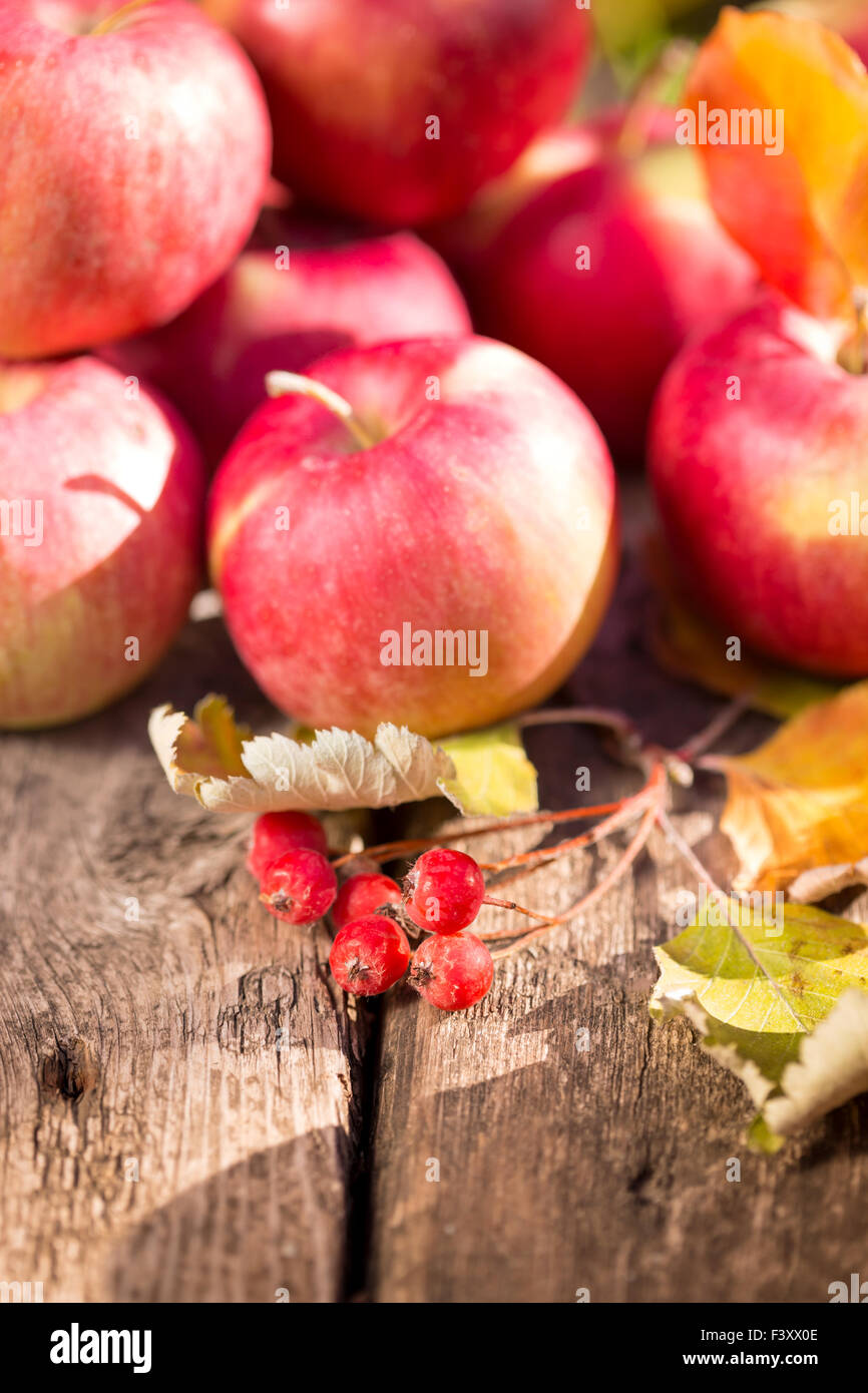 Fruits and vegetables in autumn Stock Photo - Alamy