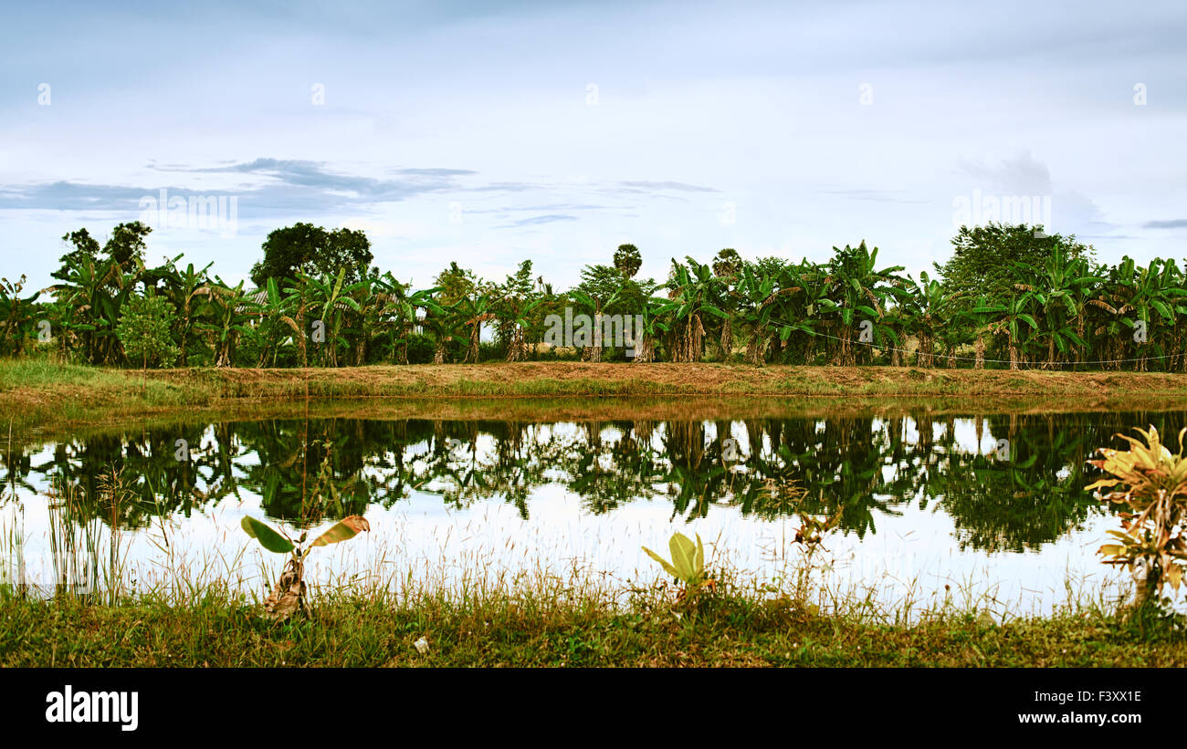 Thai scenery hi-res stock photography and images - Alamy