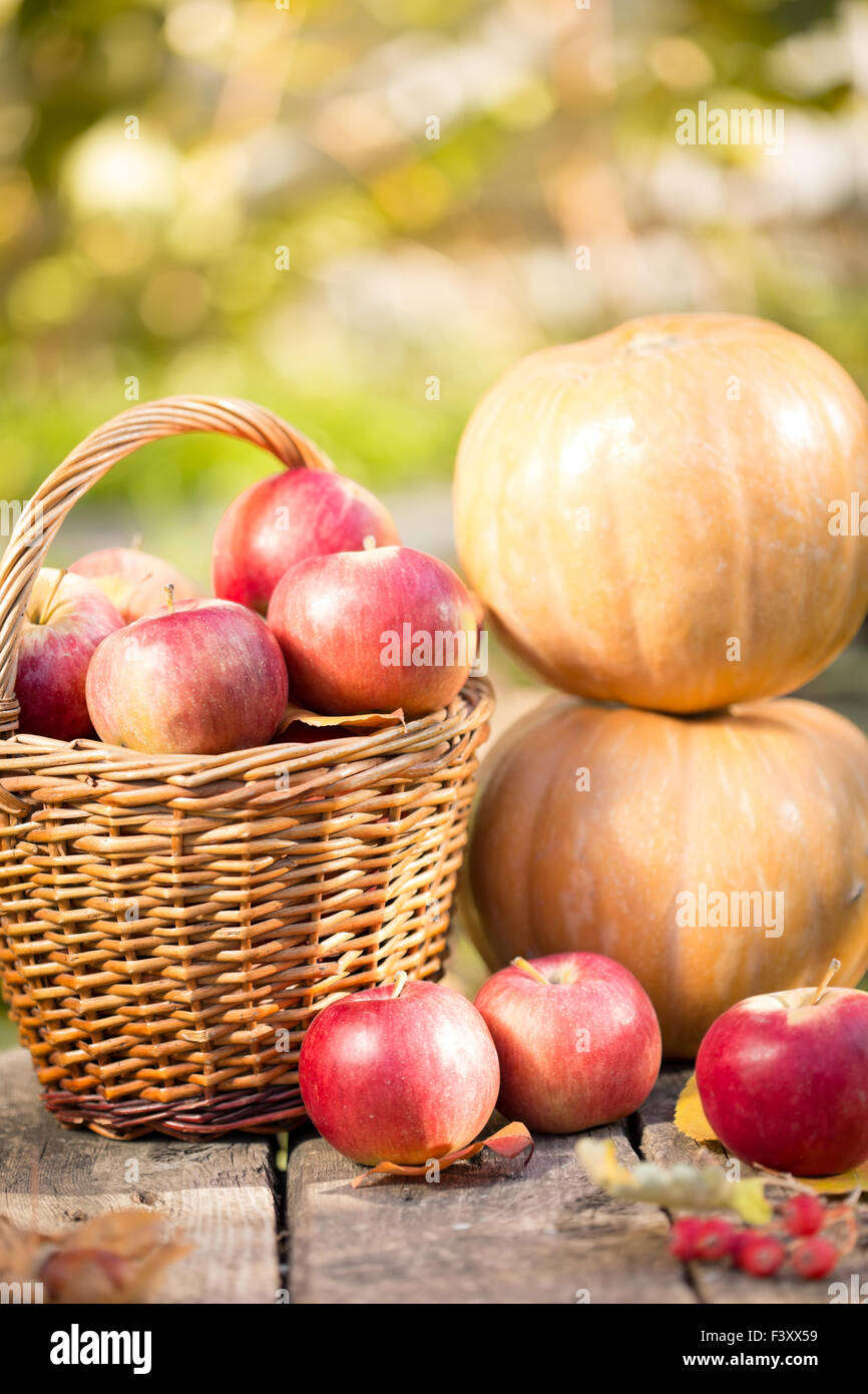 Fruits and vegetables in autumn Stock Photo - Alamy