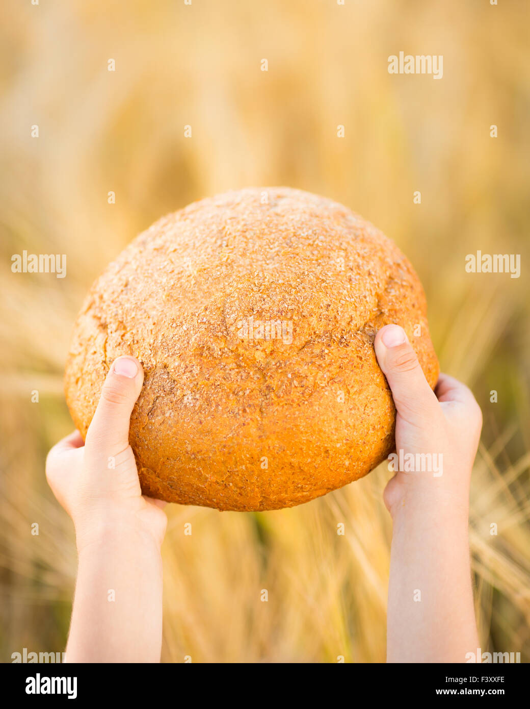 Hands holding loaf bread in hi-res stock photography and images - Alamy