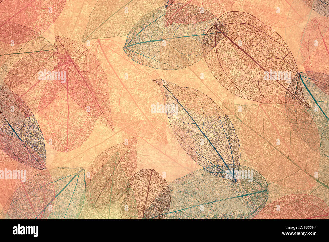 Abstract autumn background Stock Photo - Alamy