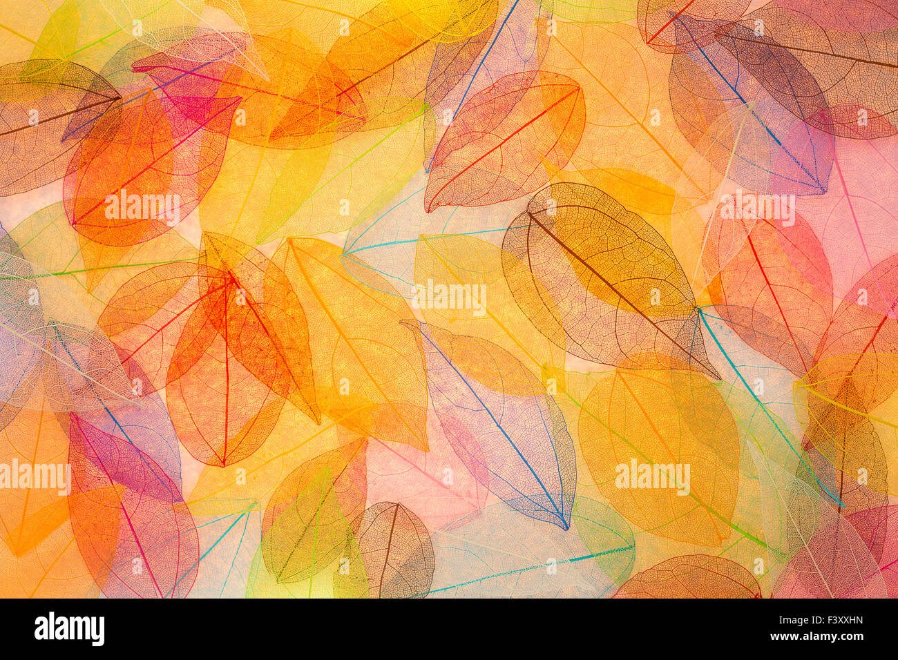 Abstract autumn background Stock Photo - Alamy