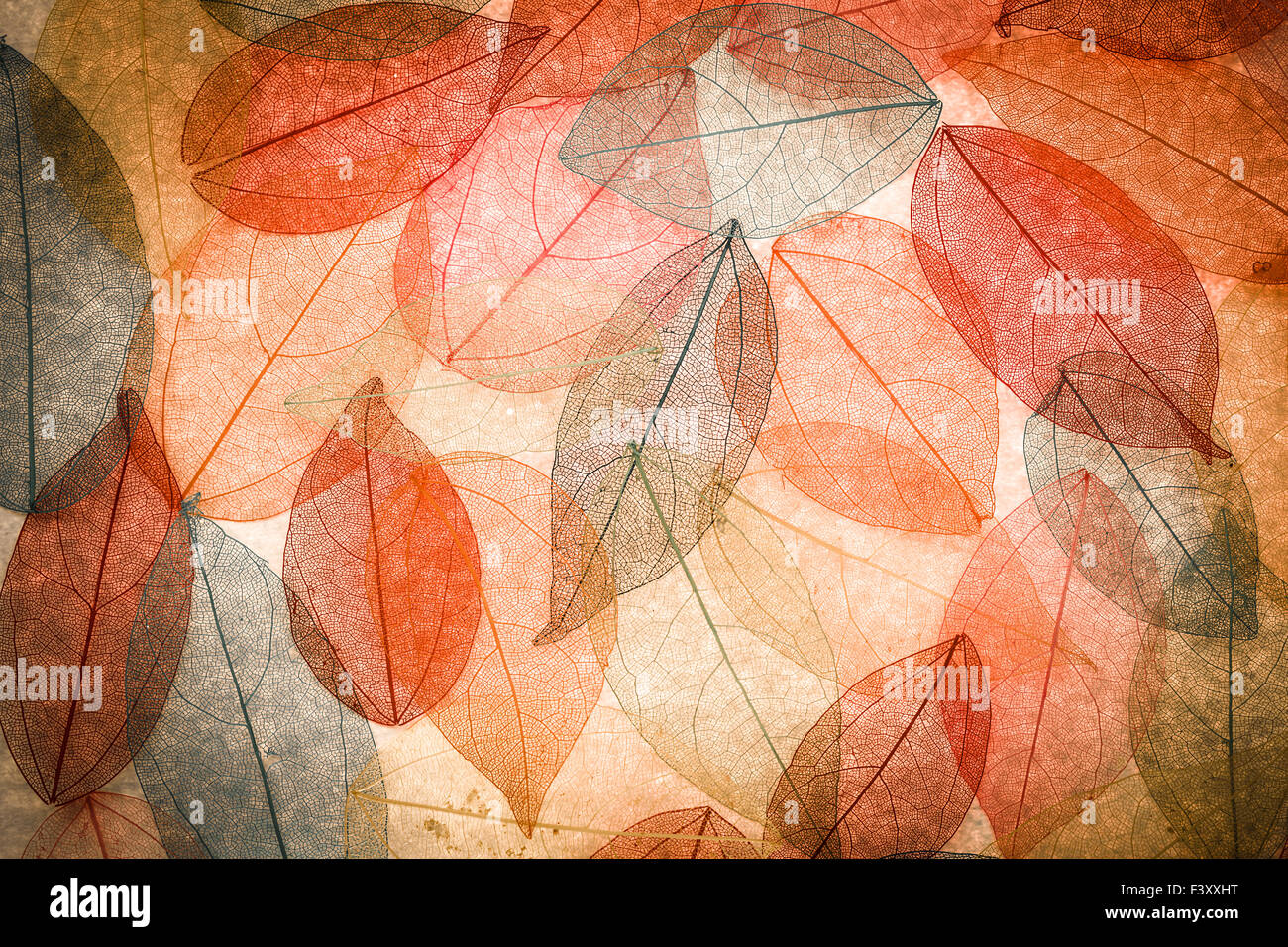 Abstract autumn background Stock Photo - Alamy