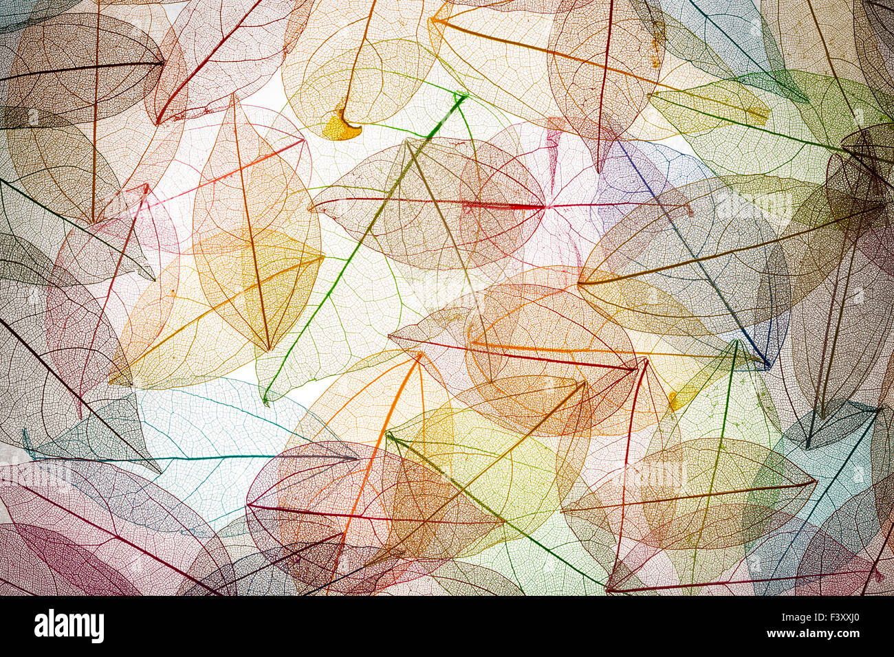 Abstract autumn background Stock Photo - Alamy