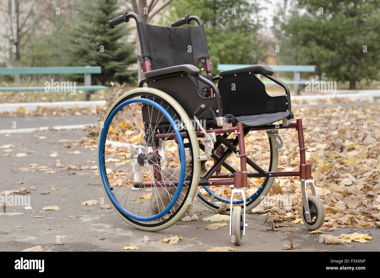 One wheelchair outdoors in the park Stock Photo - Alamy