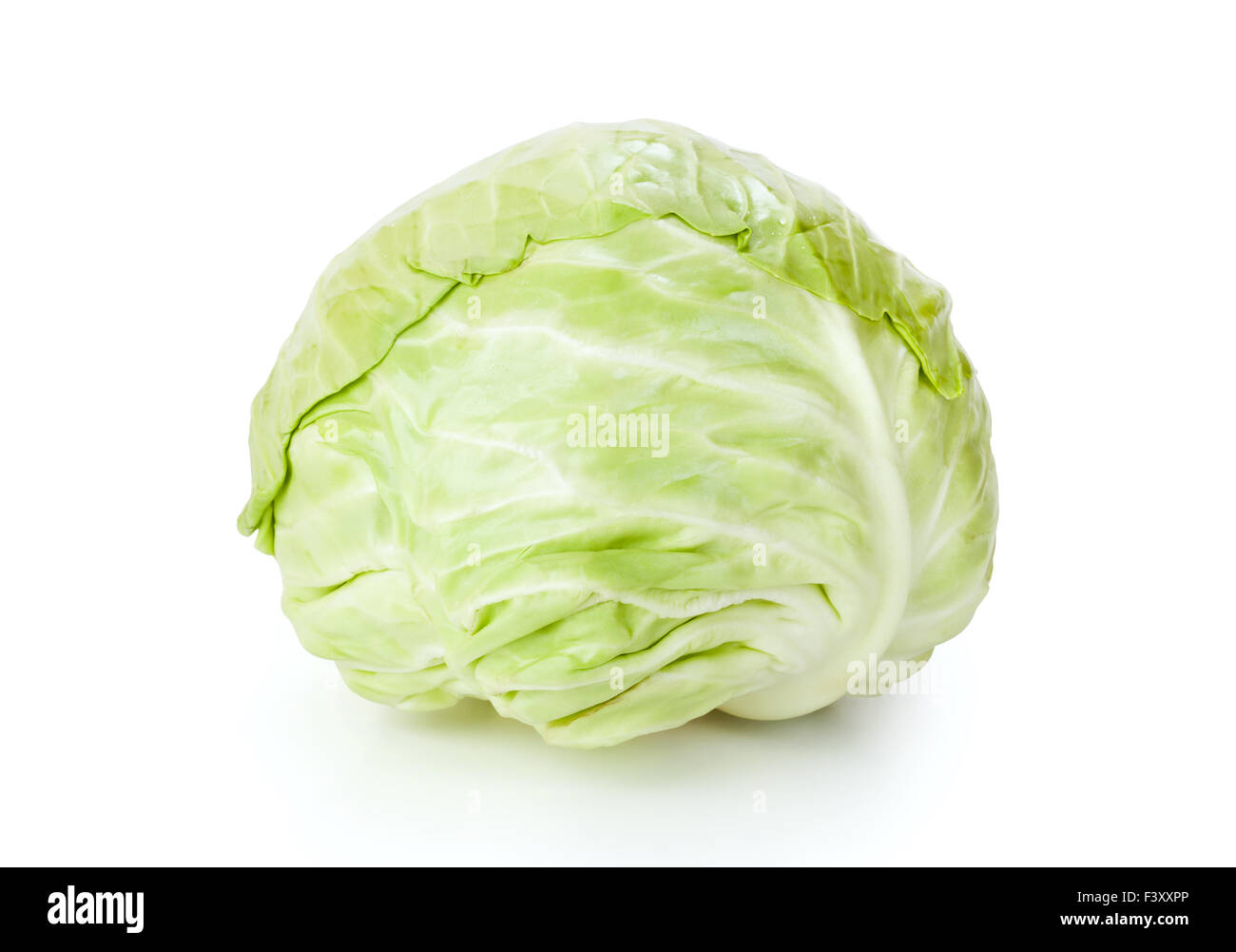 Cabbage green hi-res stock photography and images - Alamy