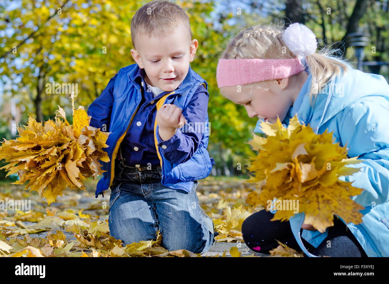 Children collecting fall leaves Stock Photo - Alamy
