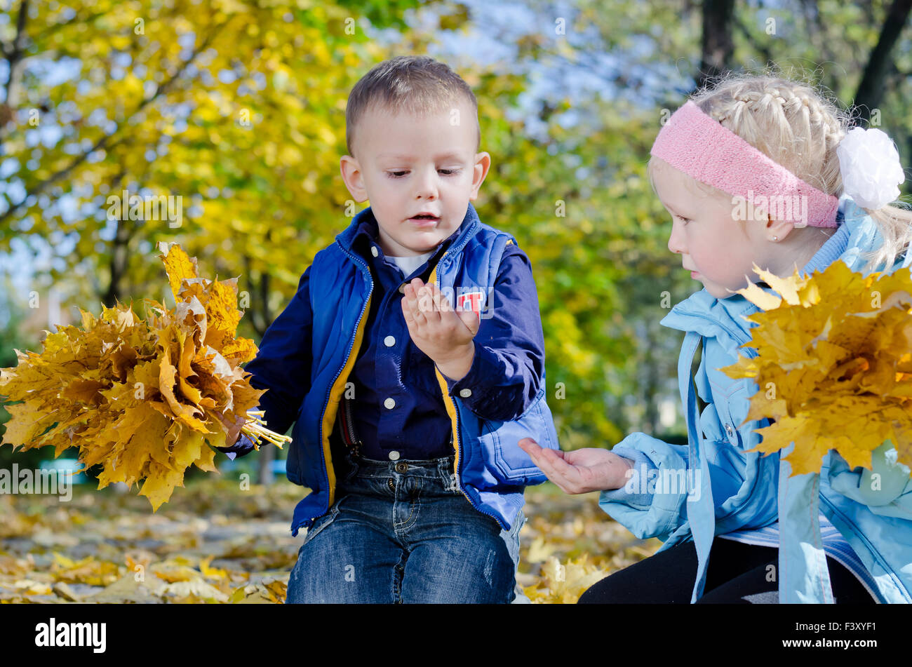 Young Children in Autumn Woodland Stock Photo - Alamy