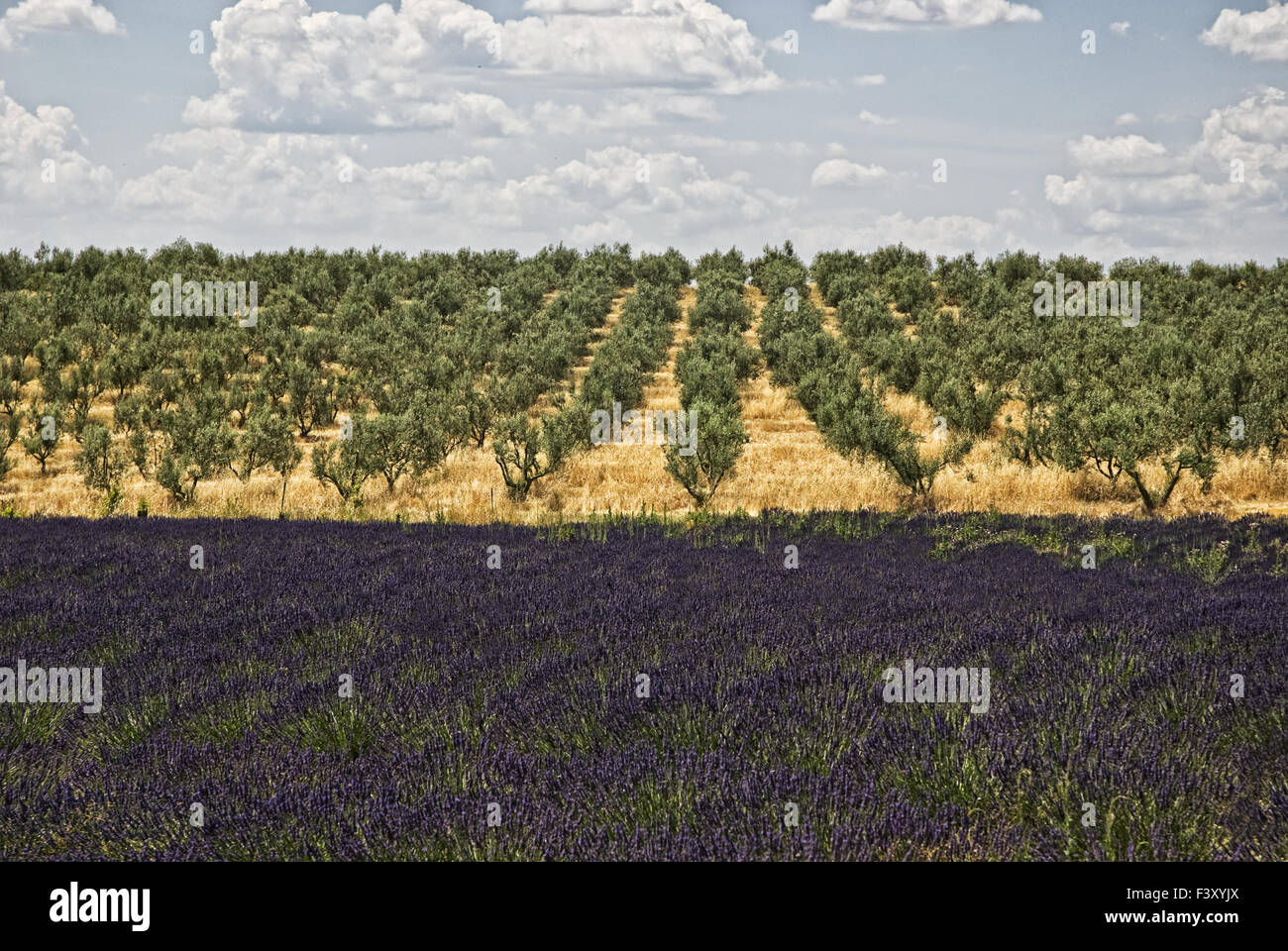 colours of the Provence Stock Photo - Alamy