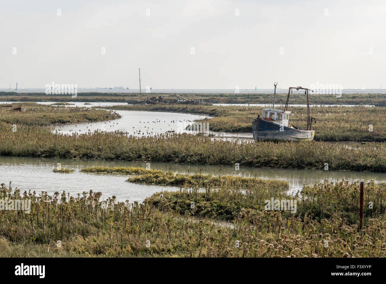 A view across the Thames Estuary salt marsh from Leigh on Sea at close ...