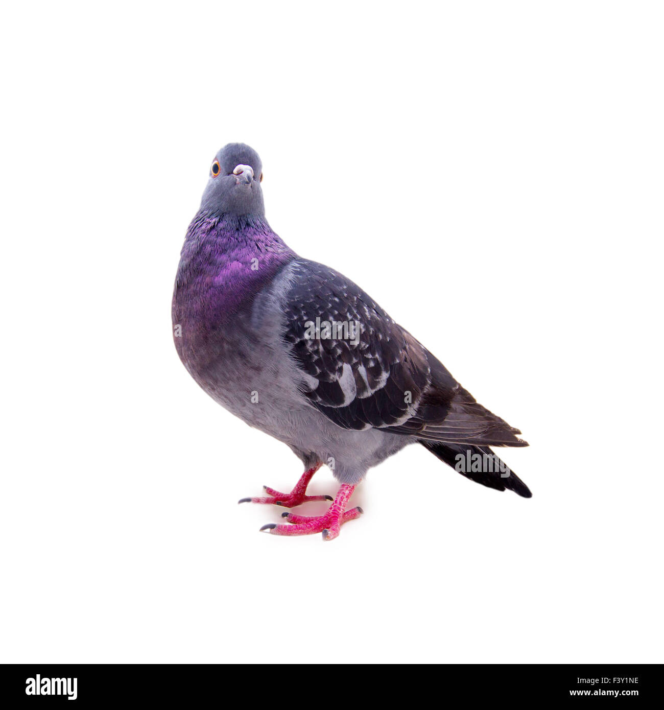 Big city on background Cut Out Stock Images & Pictures - Alamy