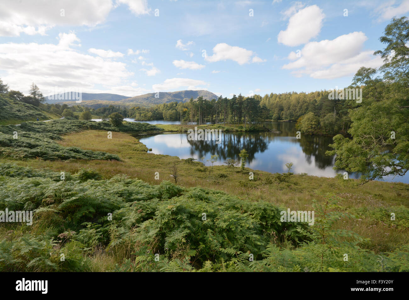 Tarn howes hi-res stock photography and images - Alamy