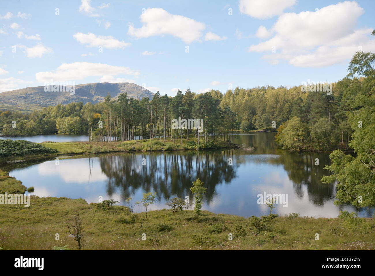 Tarn howes hi-res stock photography and images - Alamy