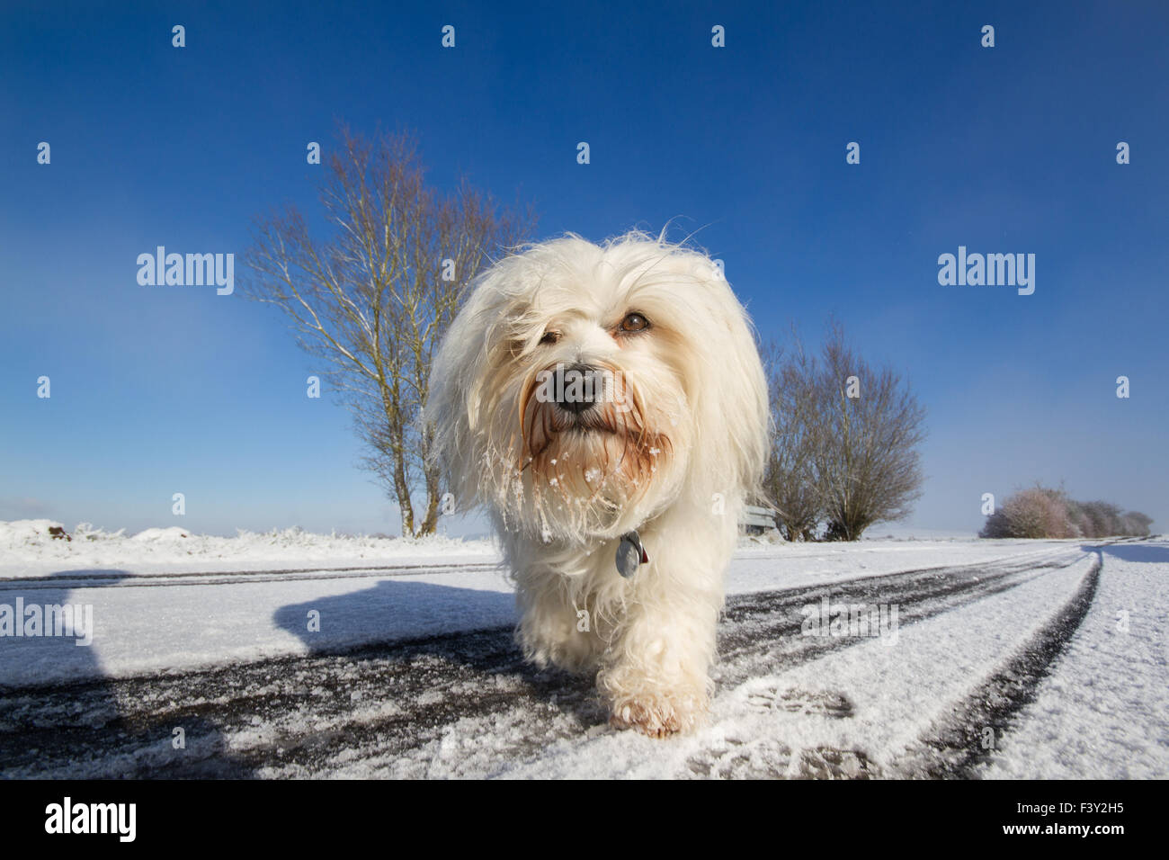 Leisurely hi-res stock photography and images - Alamy