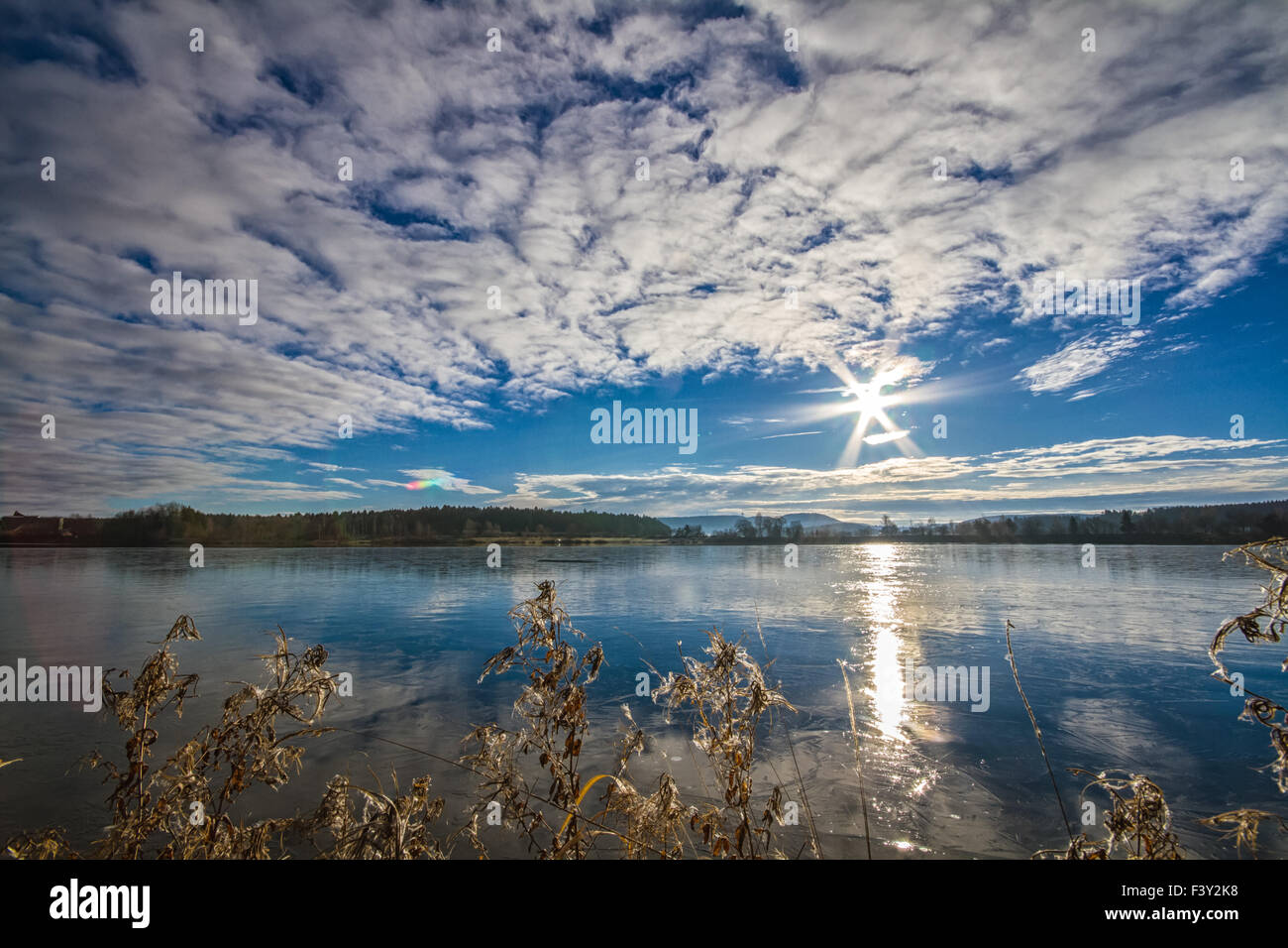 Riedsee in the Black Forest Stock Photo - Alamy