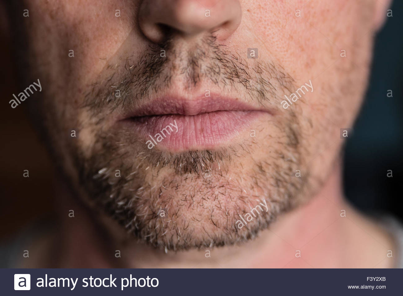 Unkempt Hair Stock Photos & Unkempt Hair Stock Images - Alamy