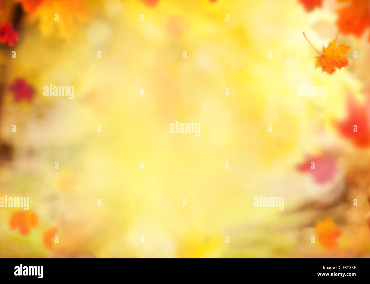 Blur foliage background hi-res stock photography and images - Alamy