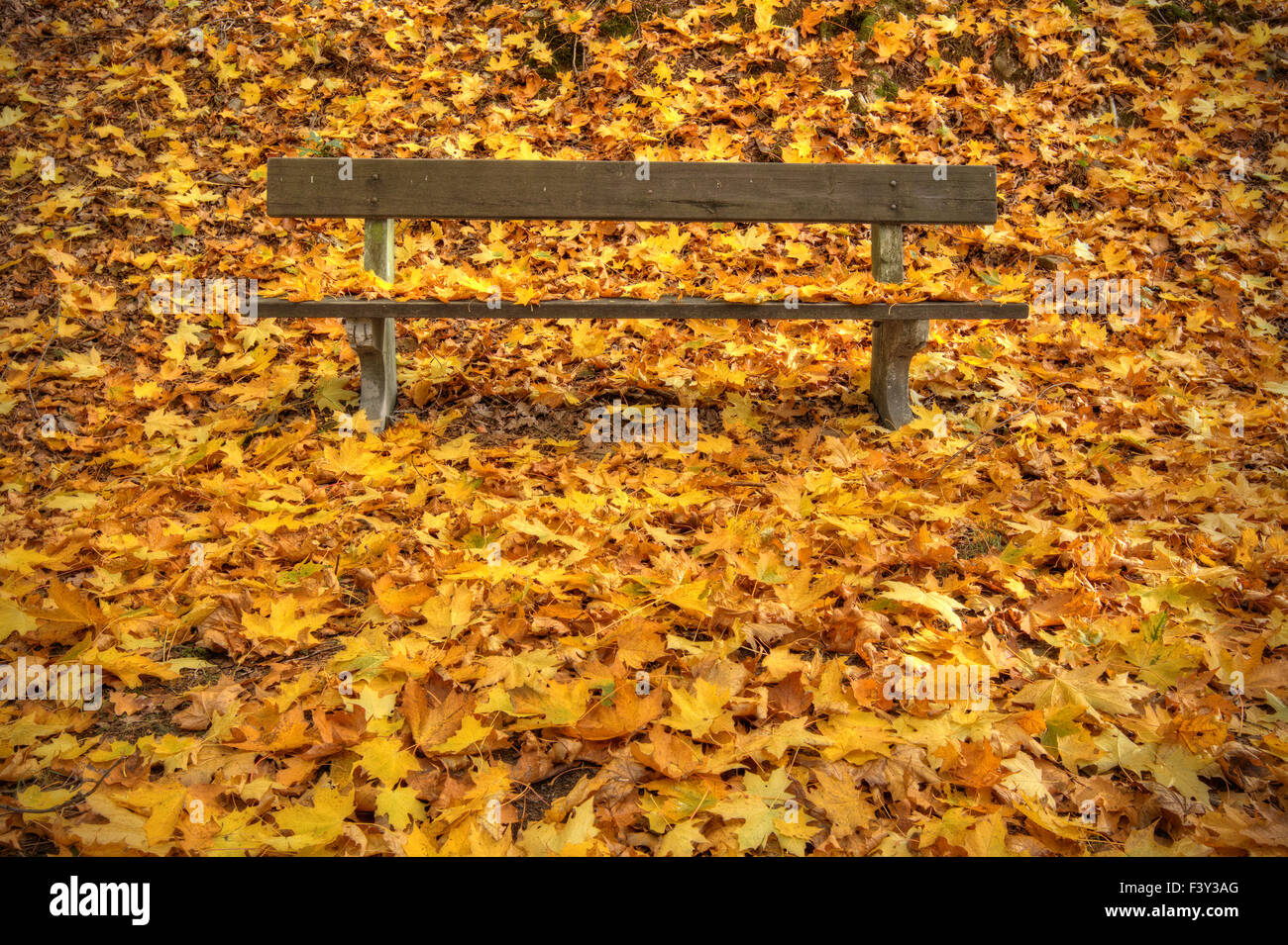 Autumn bench in park Stock Photo - Alamy