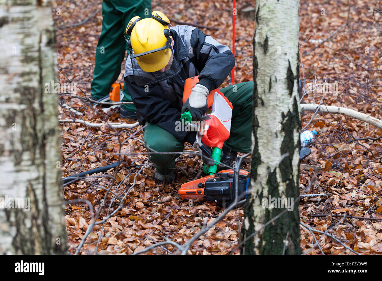 Woodcutter at work 5 Stock Photo - Alamy