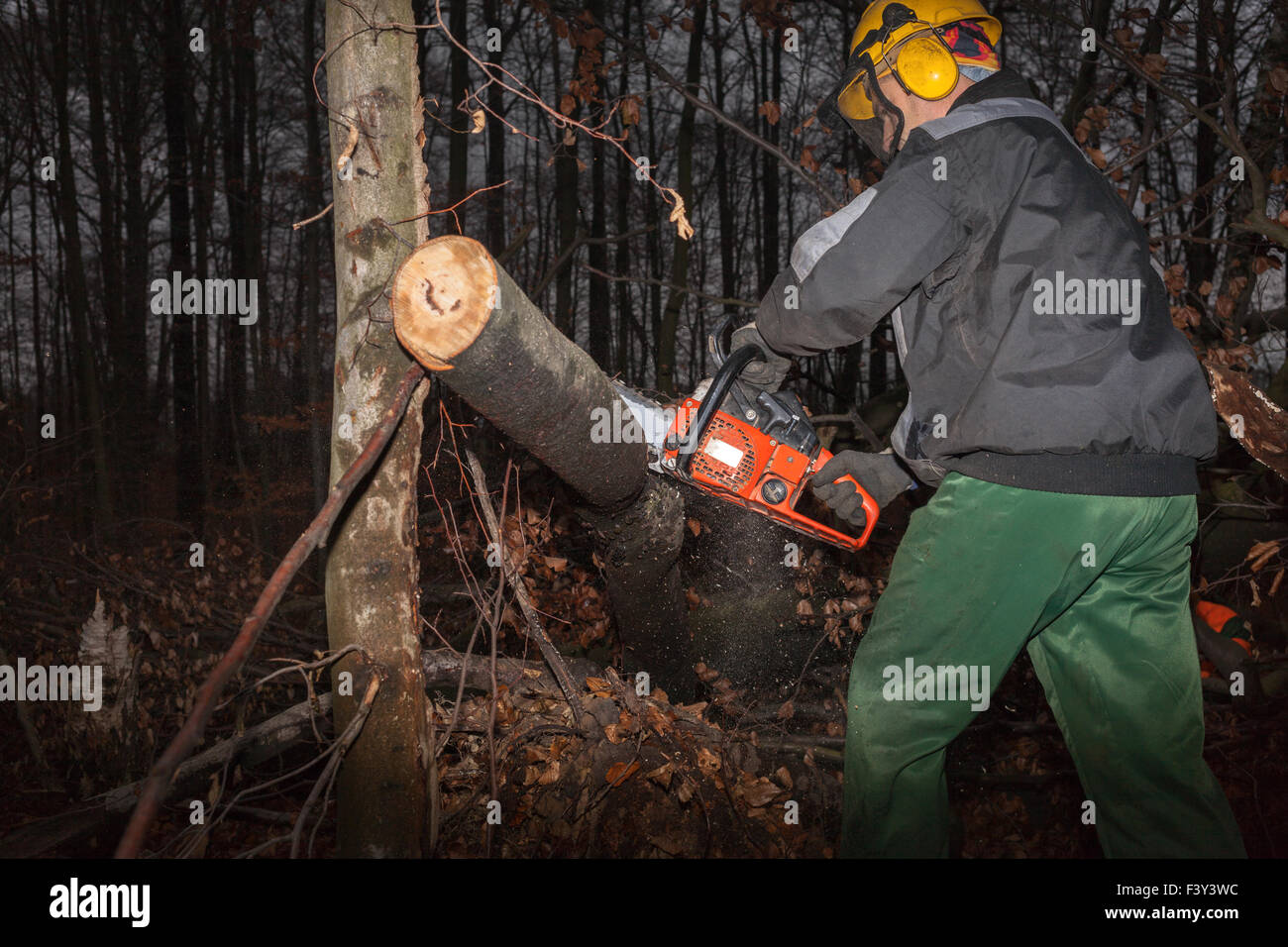 Woodcutter High Resolution Stock Photography and Images - Alamy