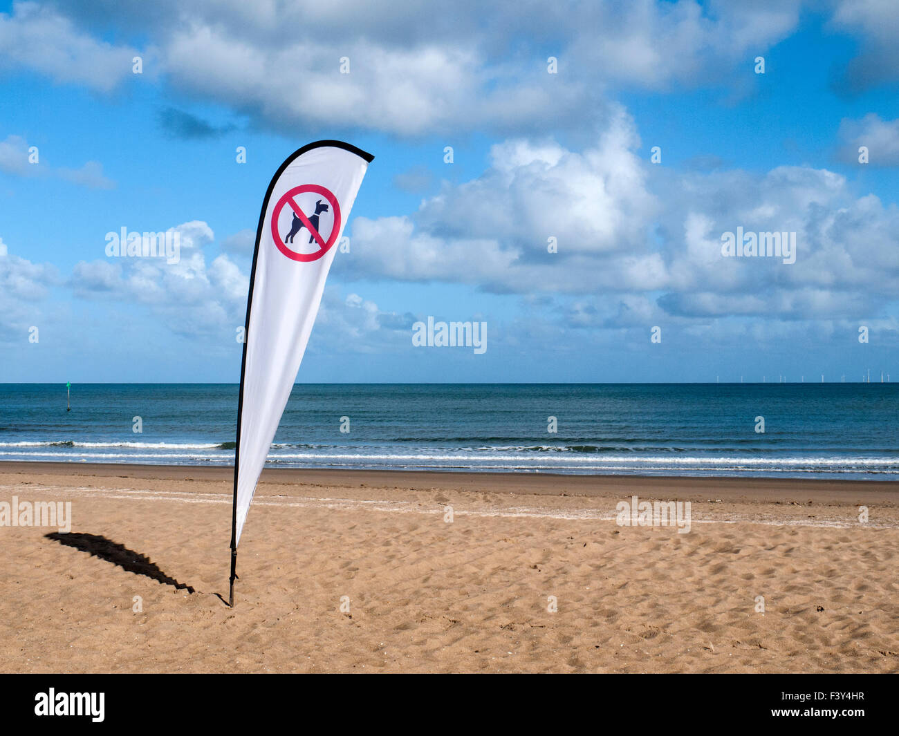 Beach dog allowed hi-res stock photography and images - Alamy