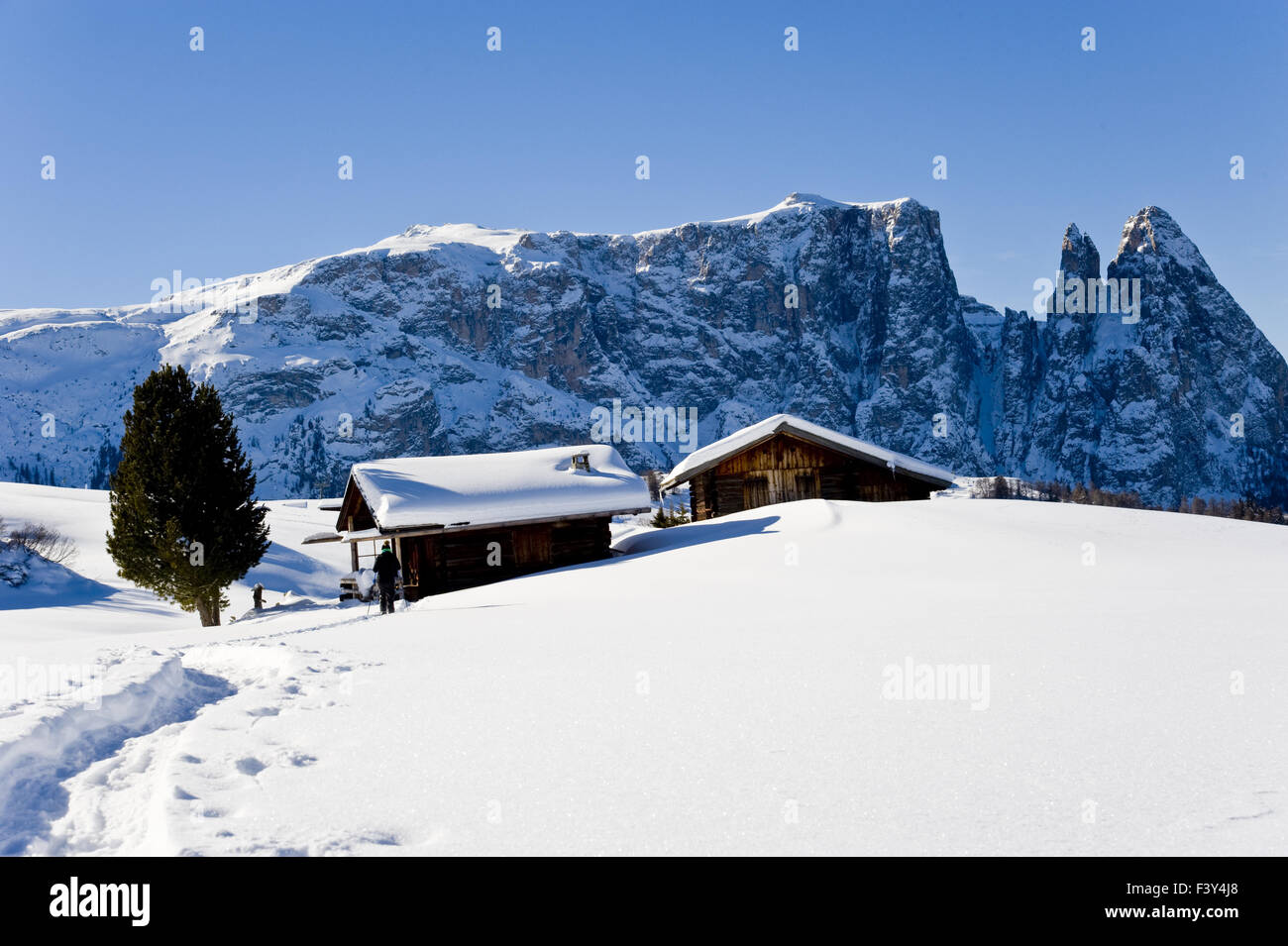 winter on the Seiser Alm in the dolomites in Italy Stock Photo - Alamy