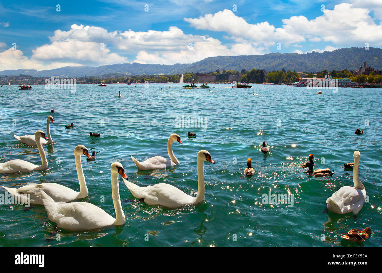 Zurich nature hi-res stock photography and images - Alamy