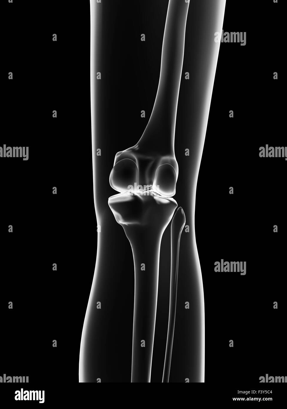 Normal knee hi-res stock photography and images - Alamy