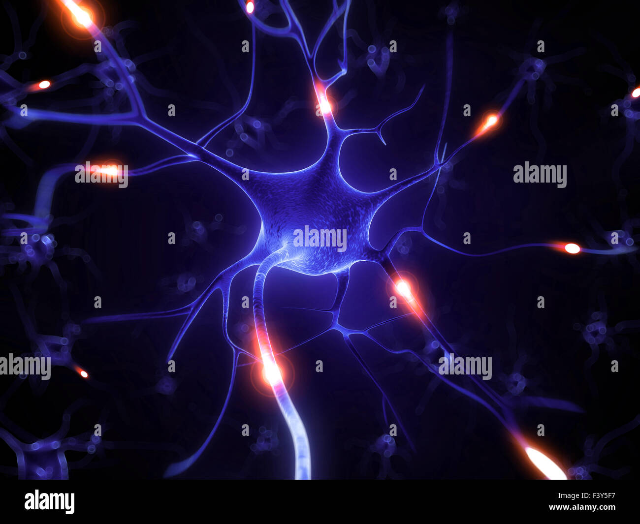 3d rendered illustration - nerve cell Stock Photo - Alamy