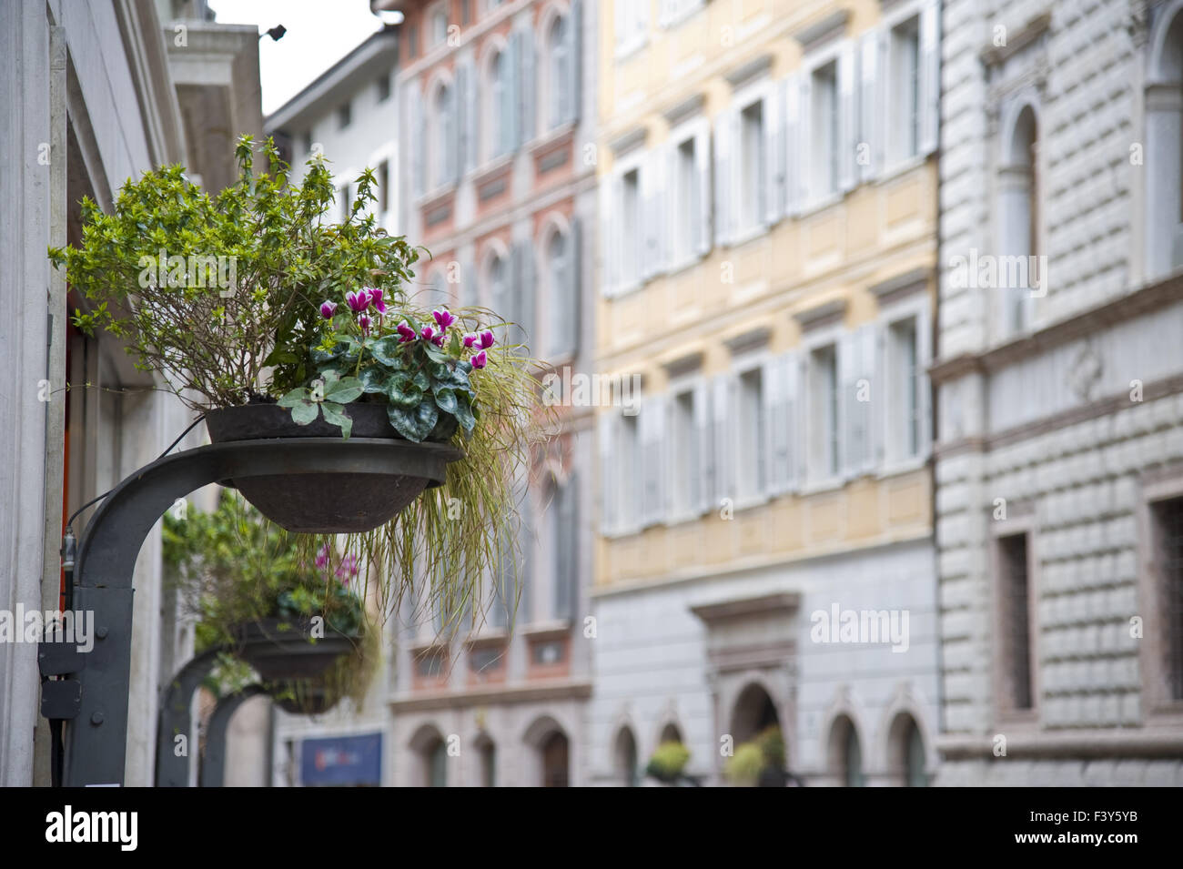 Trient hi-res stock photography and images - Alamy