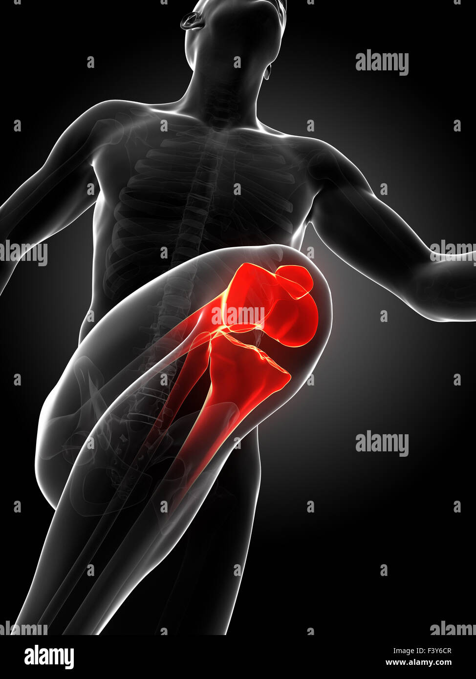 3d rendered illustration - runners joints Stock Photo - Alamy