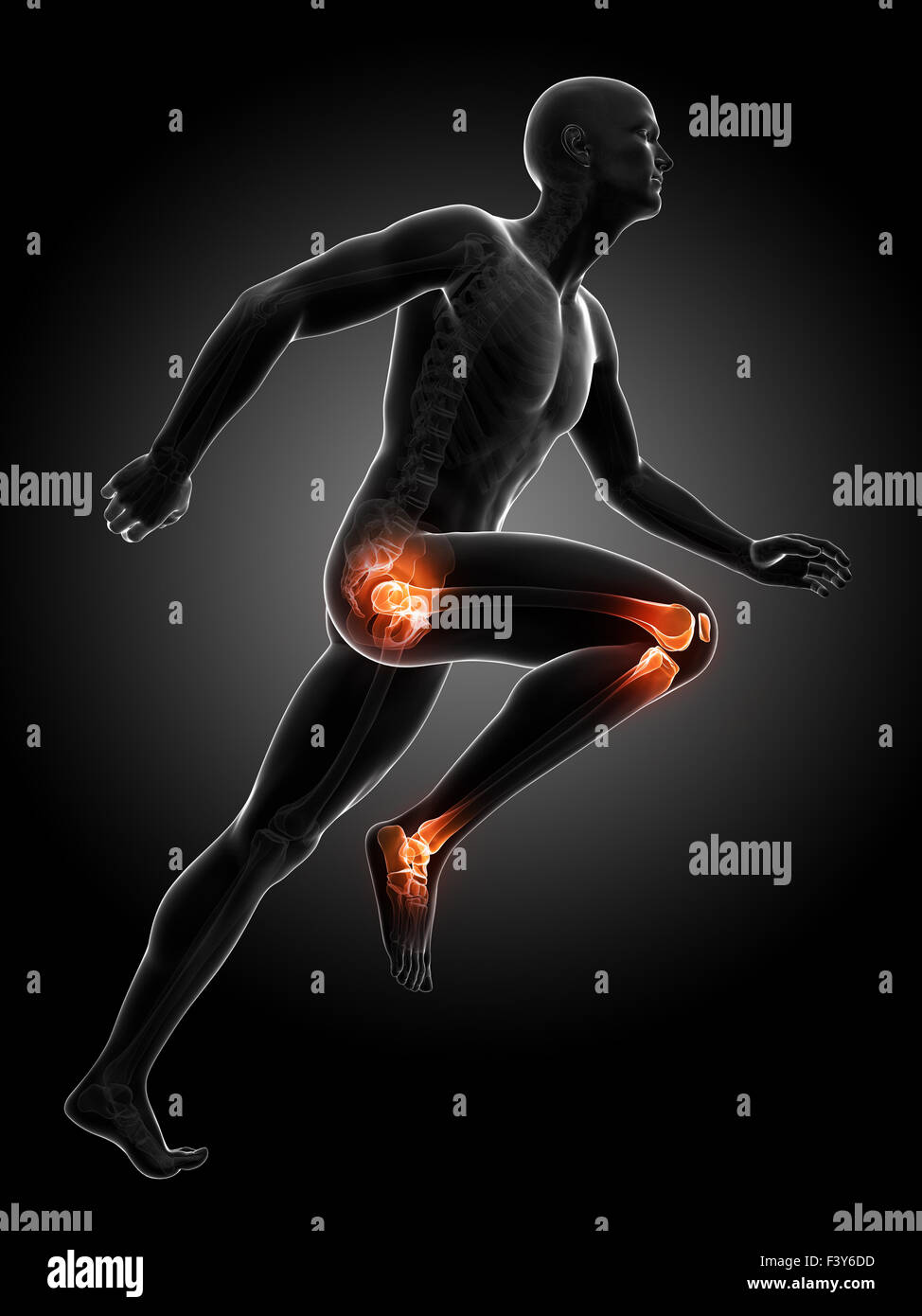 3d rendered illustration - runners joints Stock Photo - Alamy