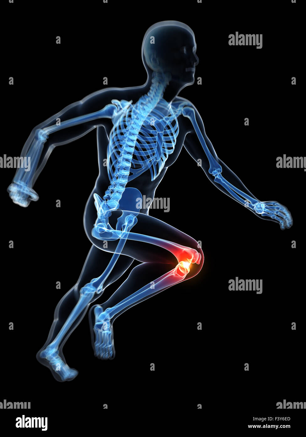 3d rendered illustration - runners joints Stock Photo - Alamy