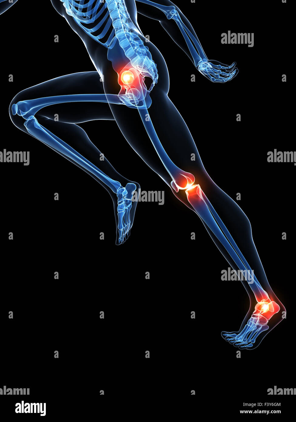 Human joints hi-res stock photography and images - Alamy