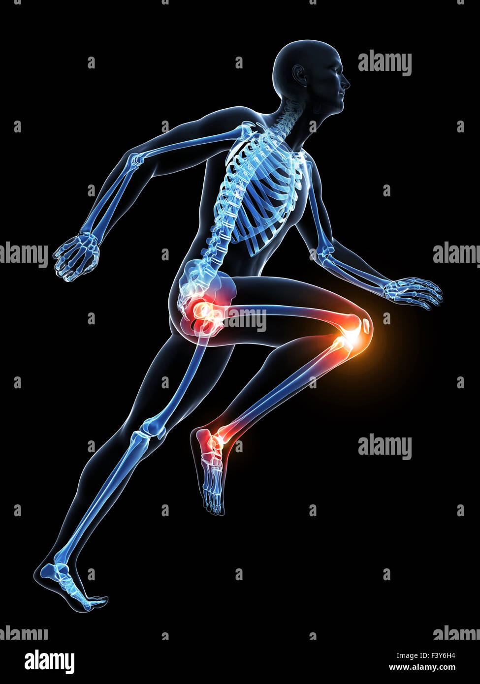 3d rendered illustration - runners joints Stock Photo - Alamy