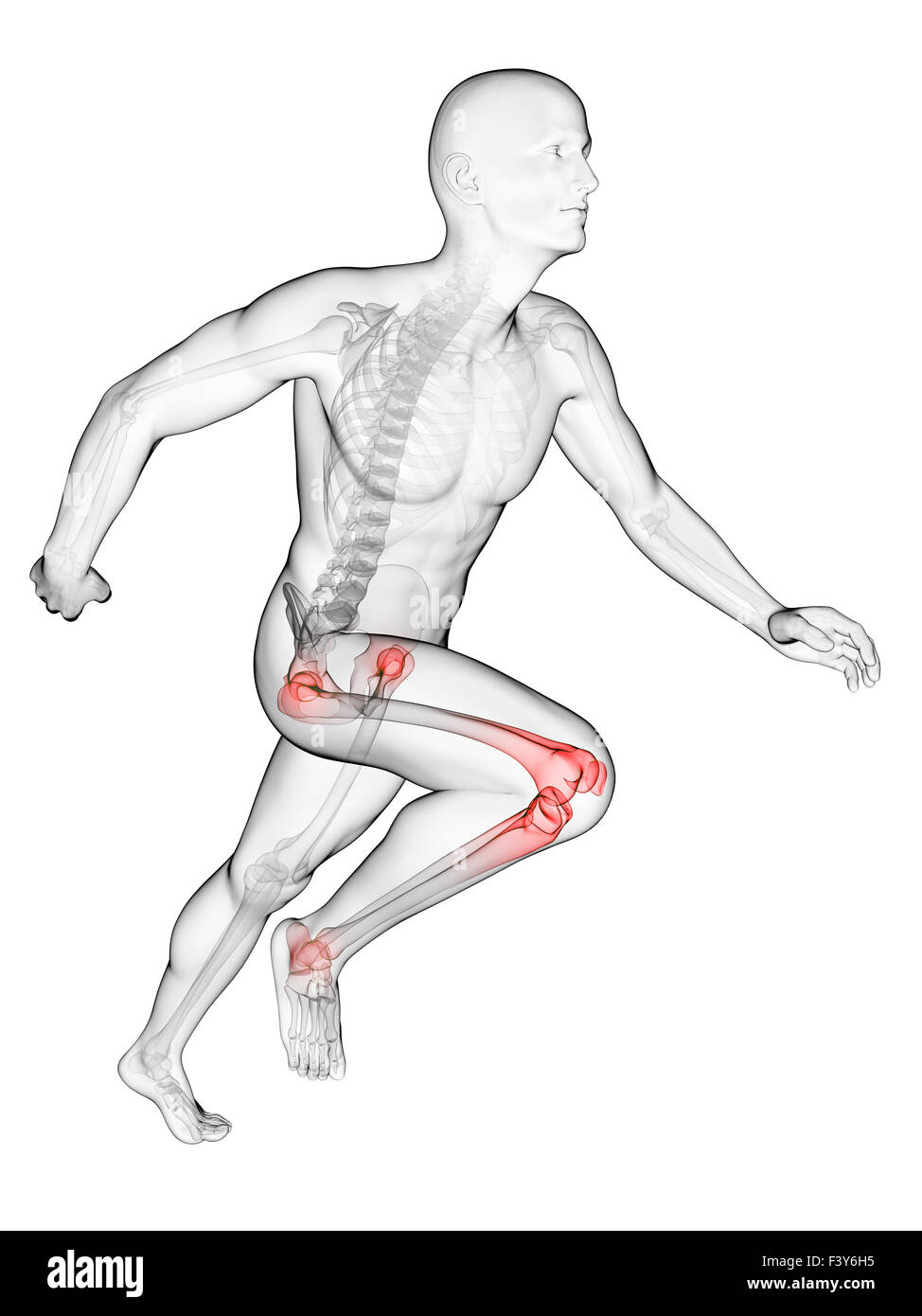 3d rendered illustration - runners joints Stock Photo - Alamy