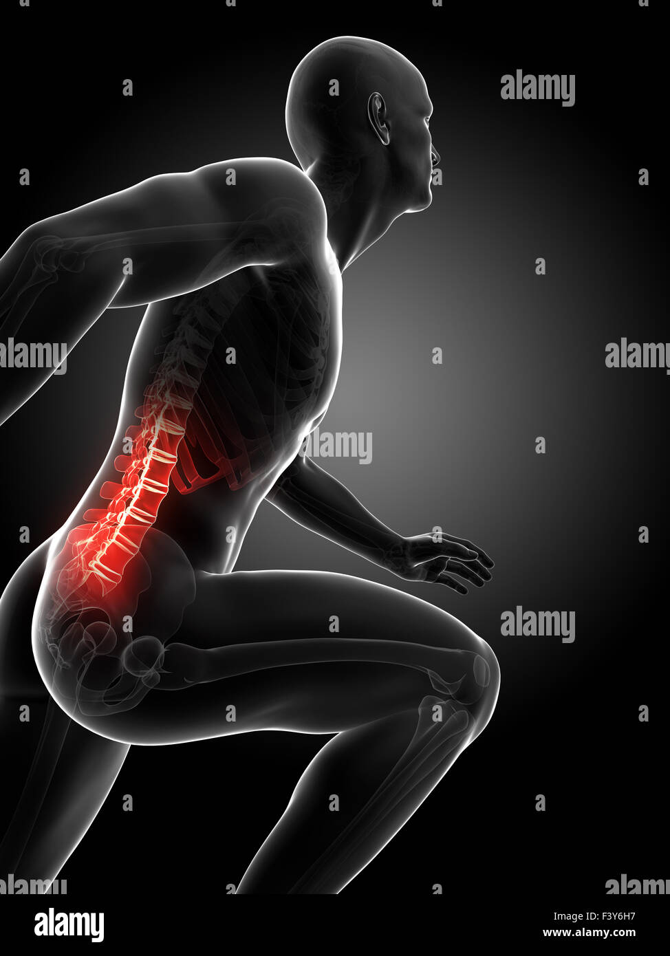 Human body joints illustration hi-res stock photography and images - Alamy