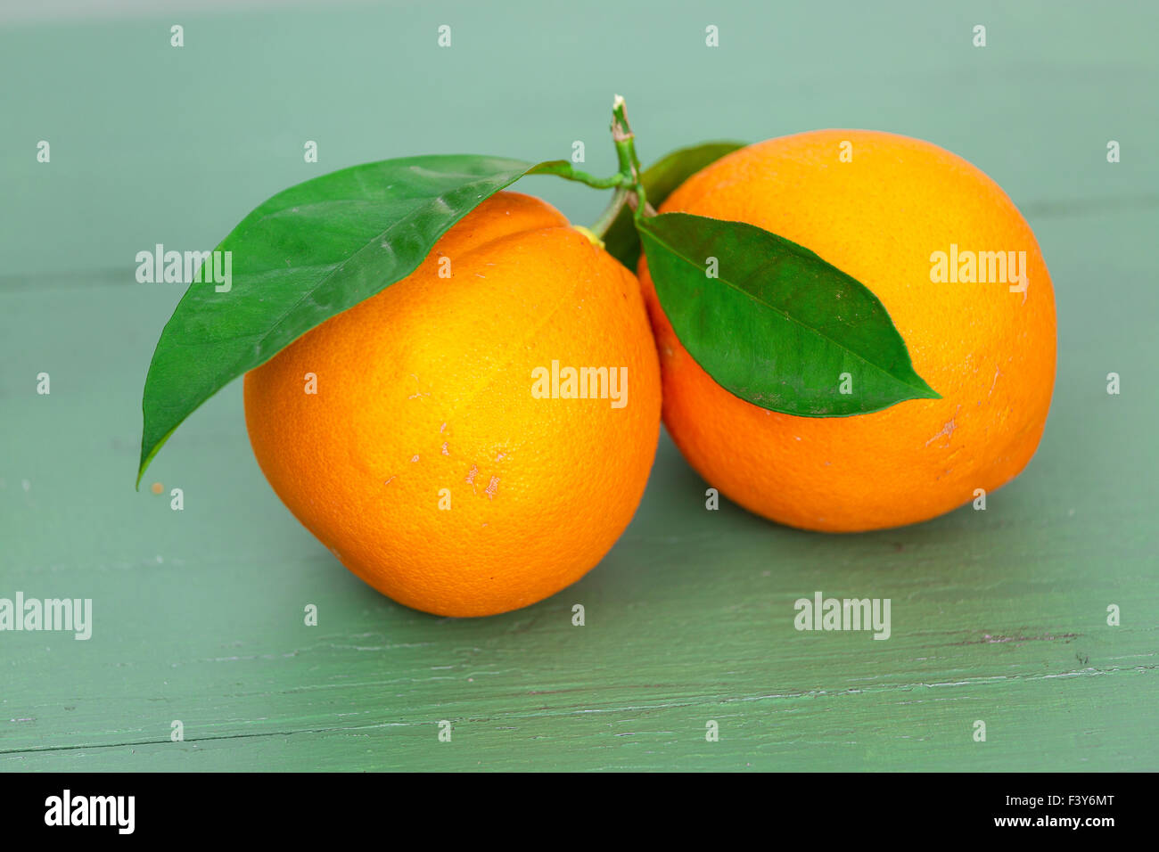Two big Oranges with Leaves Stock Photo - Alamy