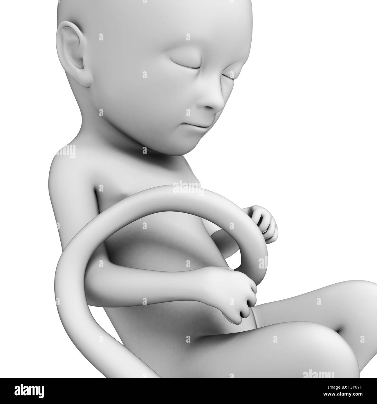 Uterus 3d hi-res stock photography and images - Alamy