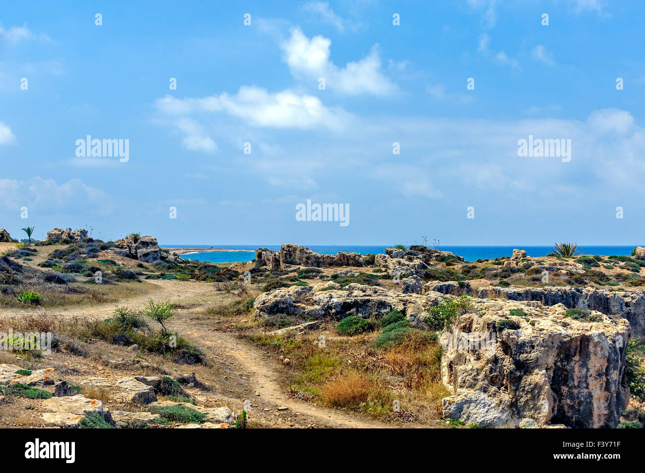 Museum in paphos hi-res stock photography and images - Alamy