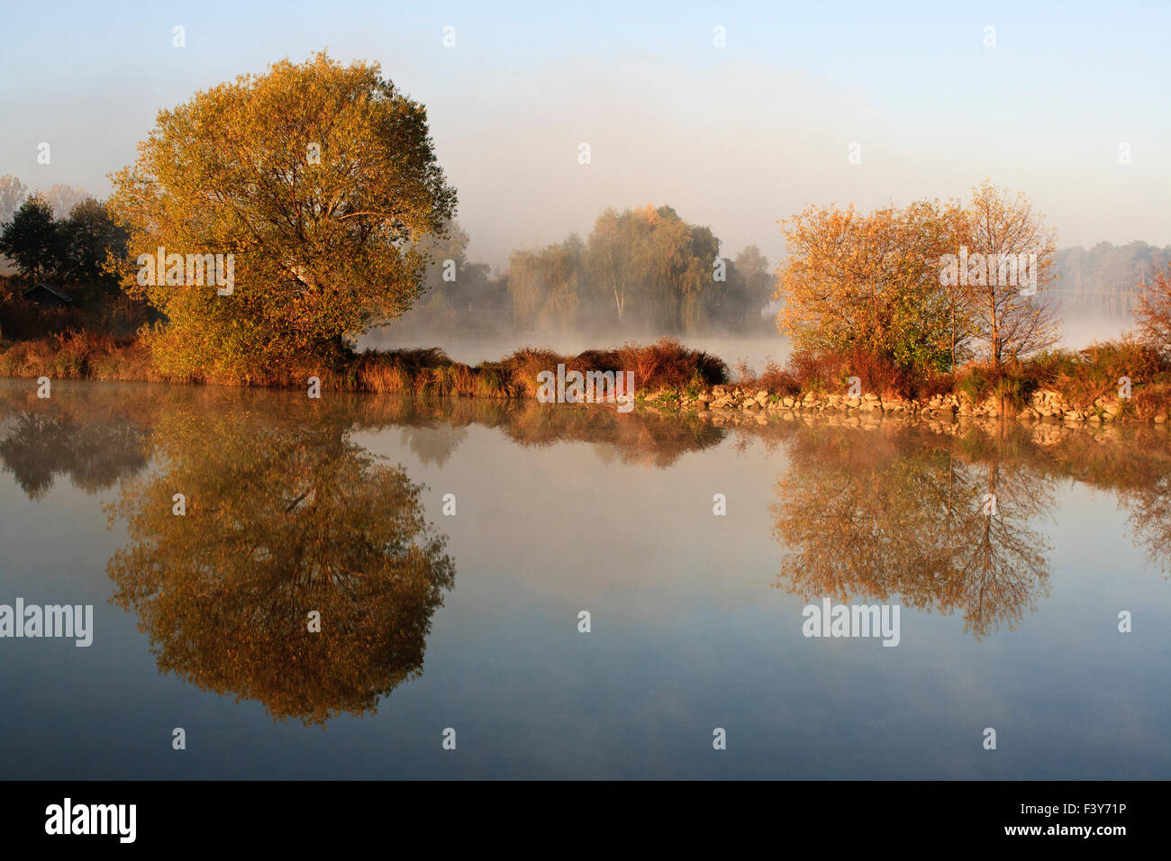 Trees reflecting in lake Stock Photo - Alamy