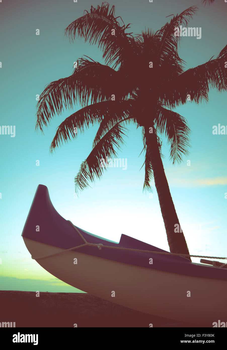 Canoe tree hi-res stock photography and images - Alamy