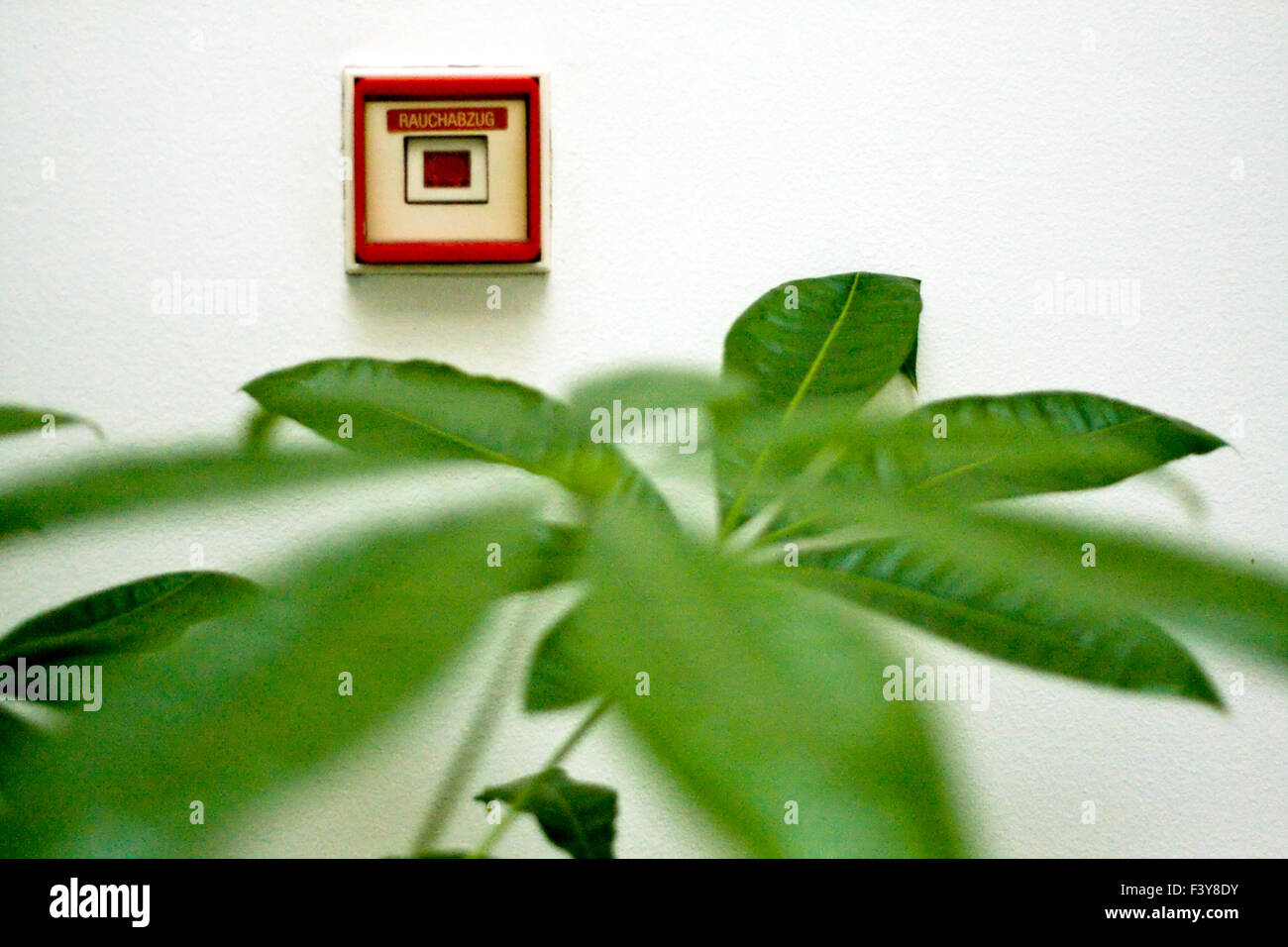Fire button hi-res stock photography and images - Alamy