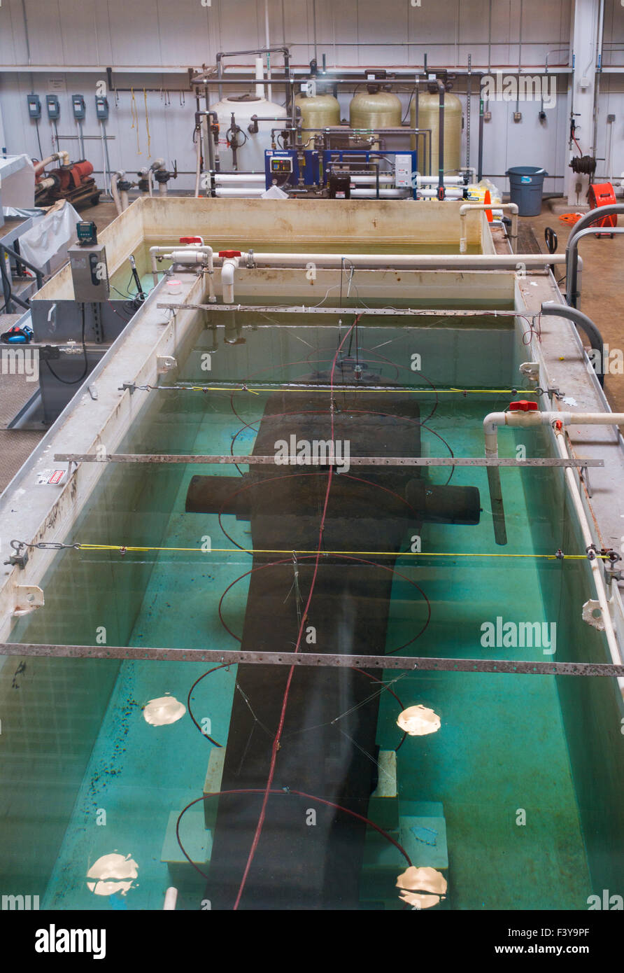 Mariners Museum in Newport News Virginia Stock Photo - Alamy