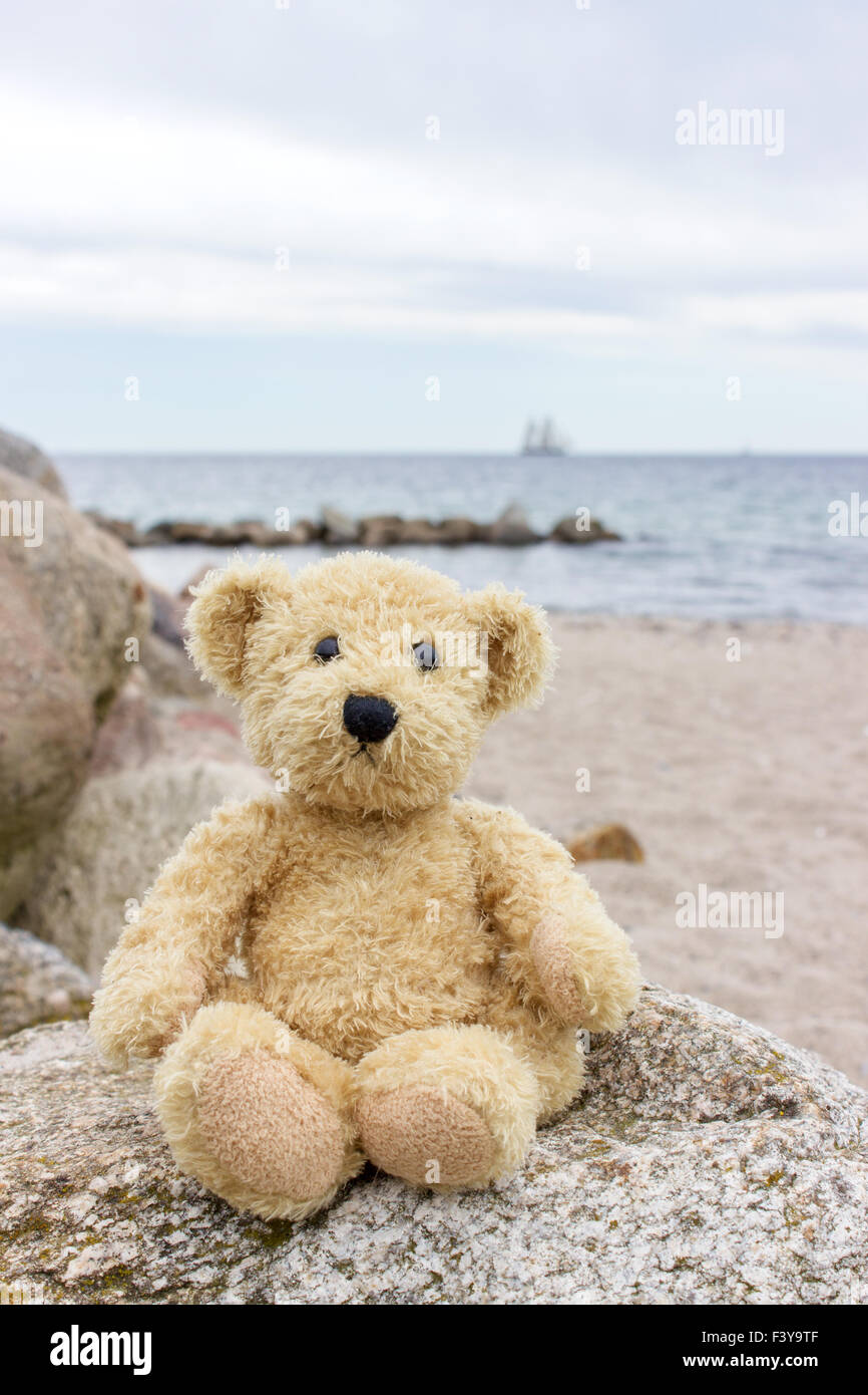 Baltic bear hi-res stock photography and images - Alamy