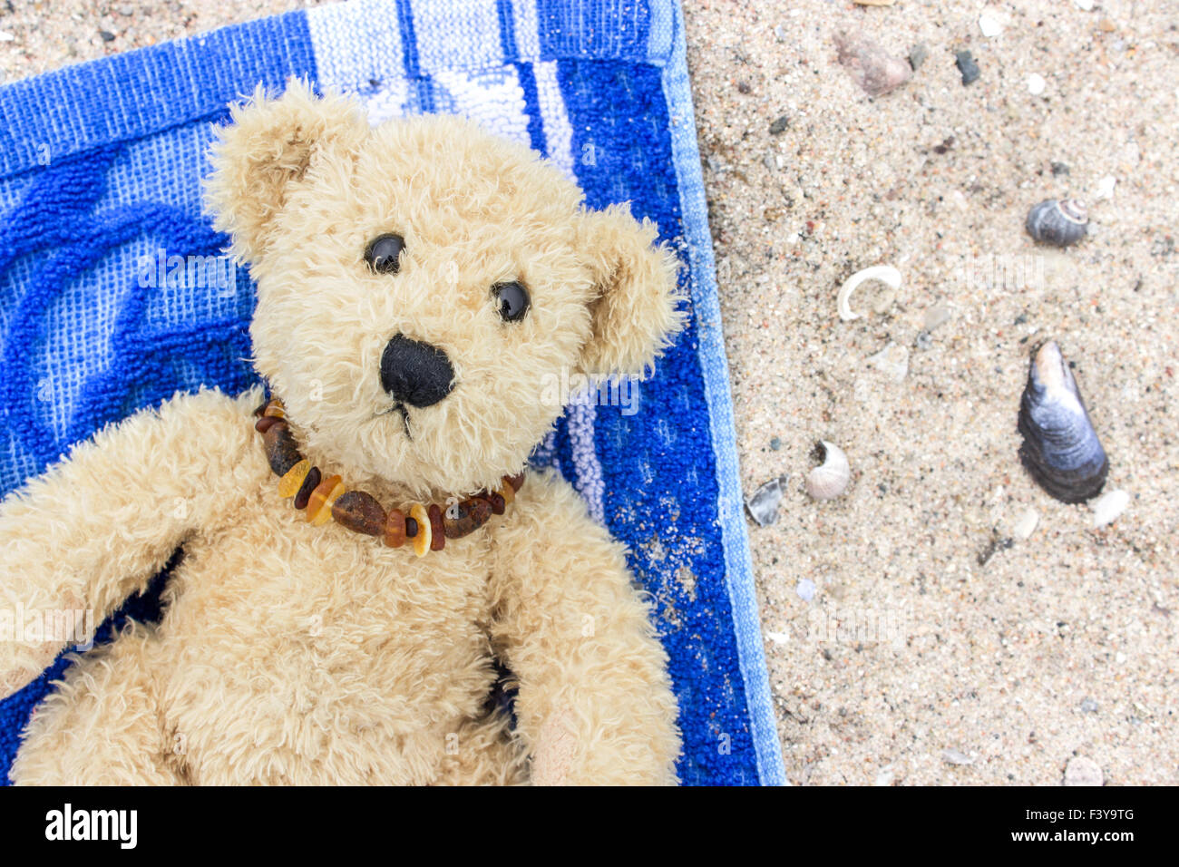 A teddy bear lies on a beach towel Stock Photo - Alamy