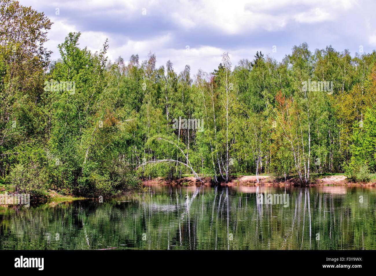 Pond in forest Stock Photo - Alamy