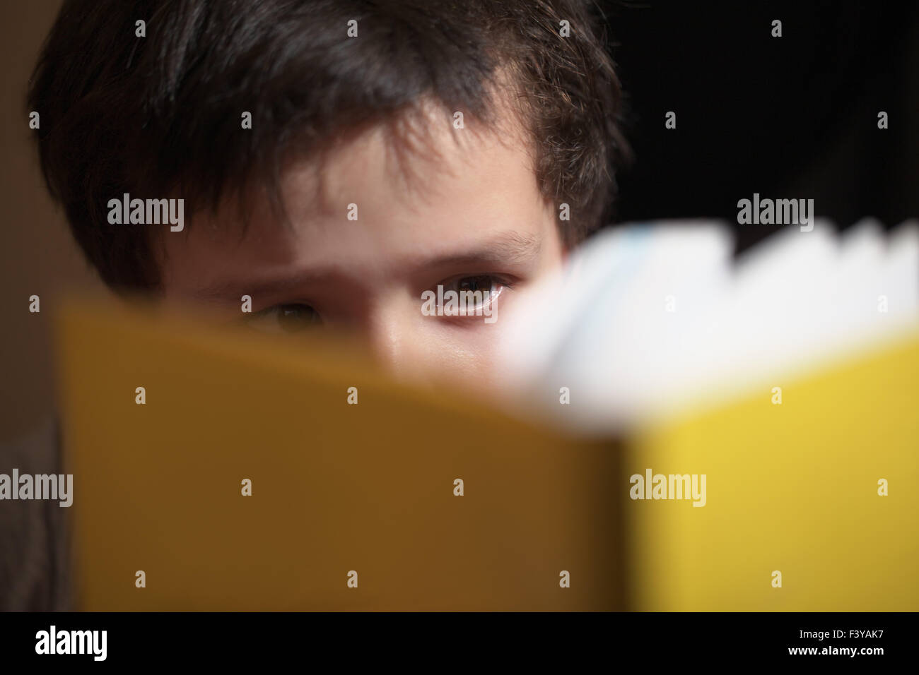 Young boy reading a book Stock Photo - Alamy