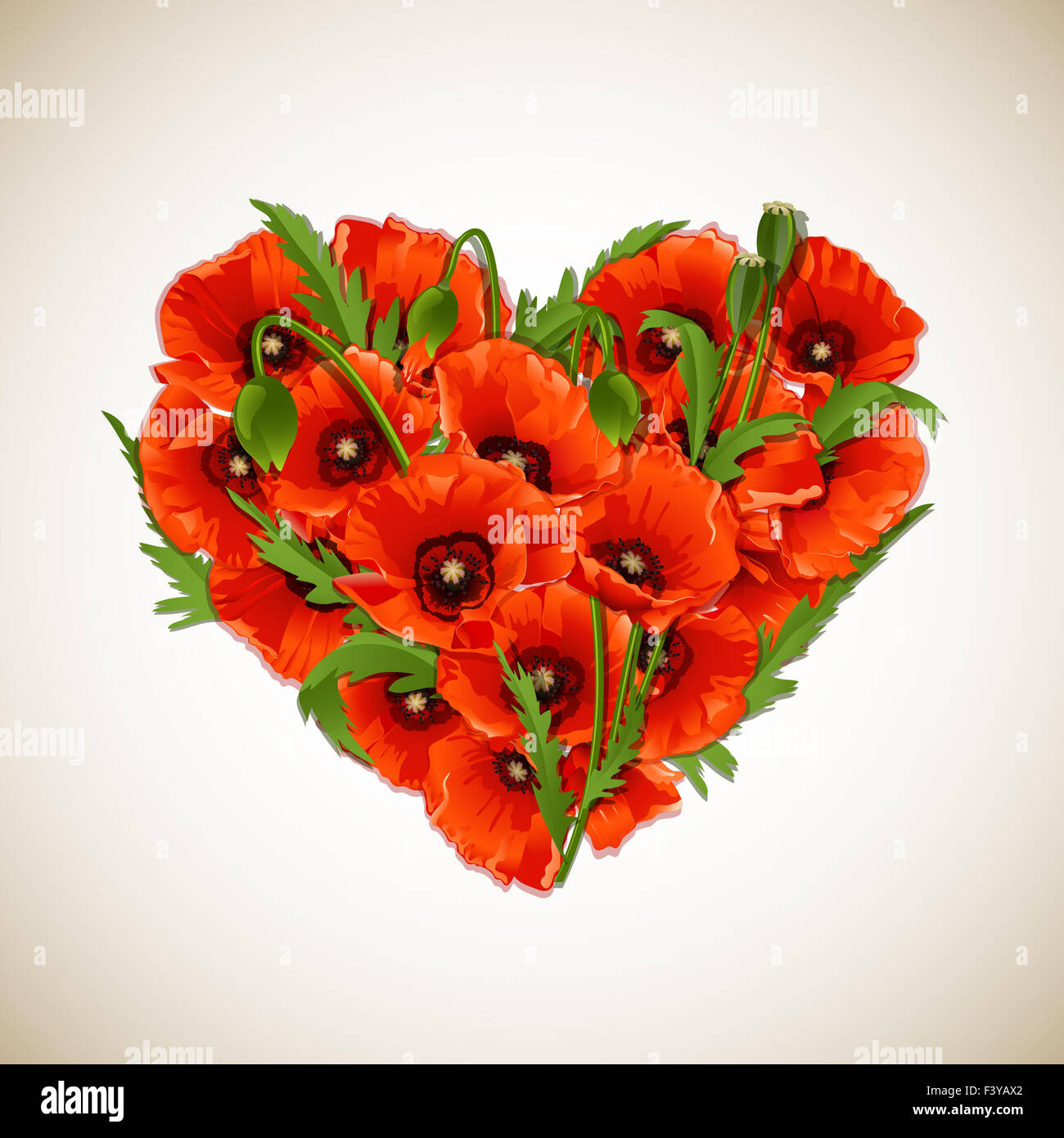 Poppies banner hi-res stock photography and images - Alamy